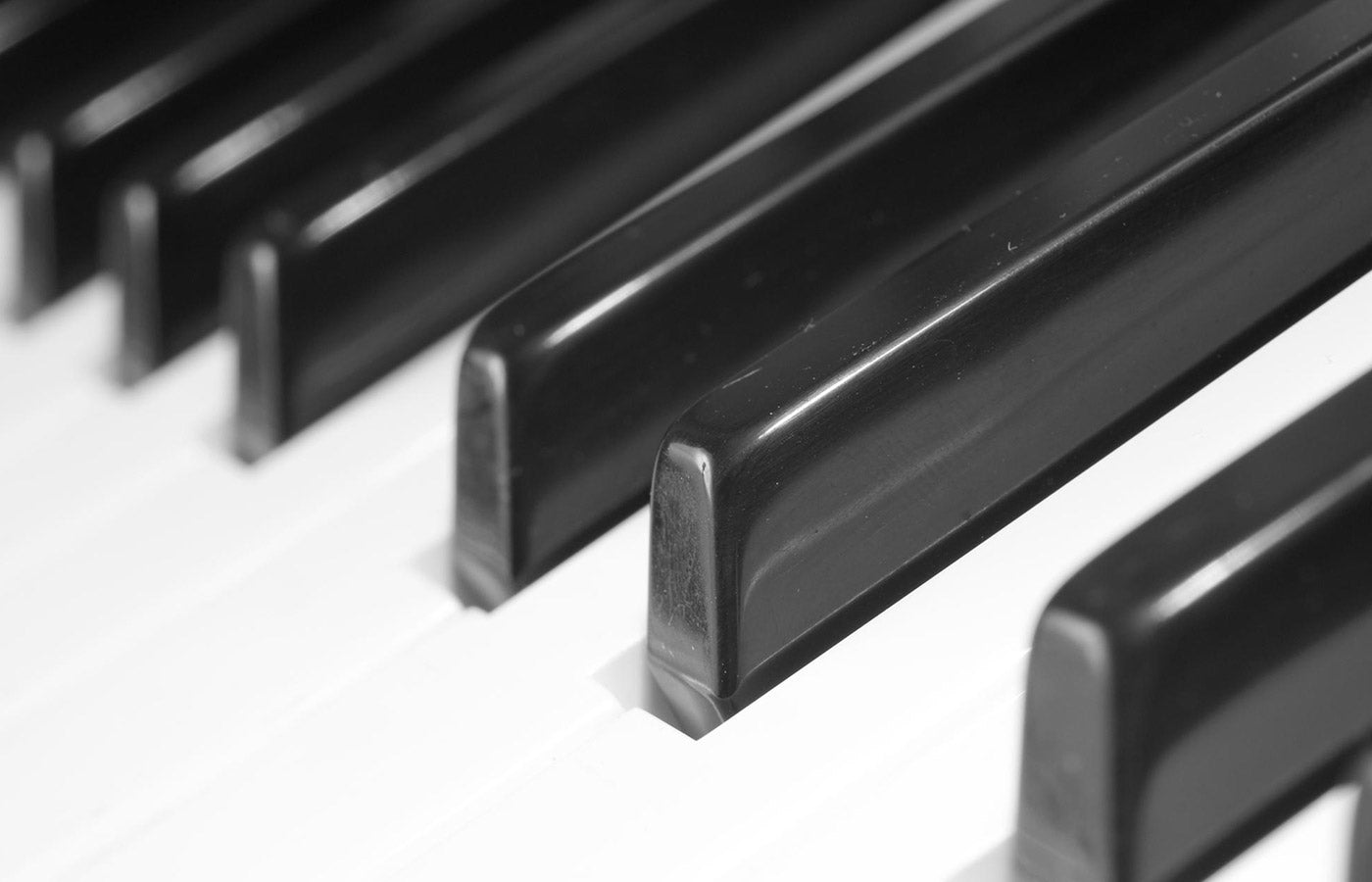 Digital vs. Acoustic Pianos: What’s Right for You? – Austral Piano World